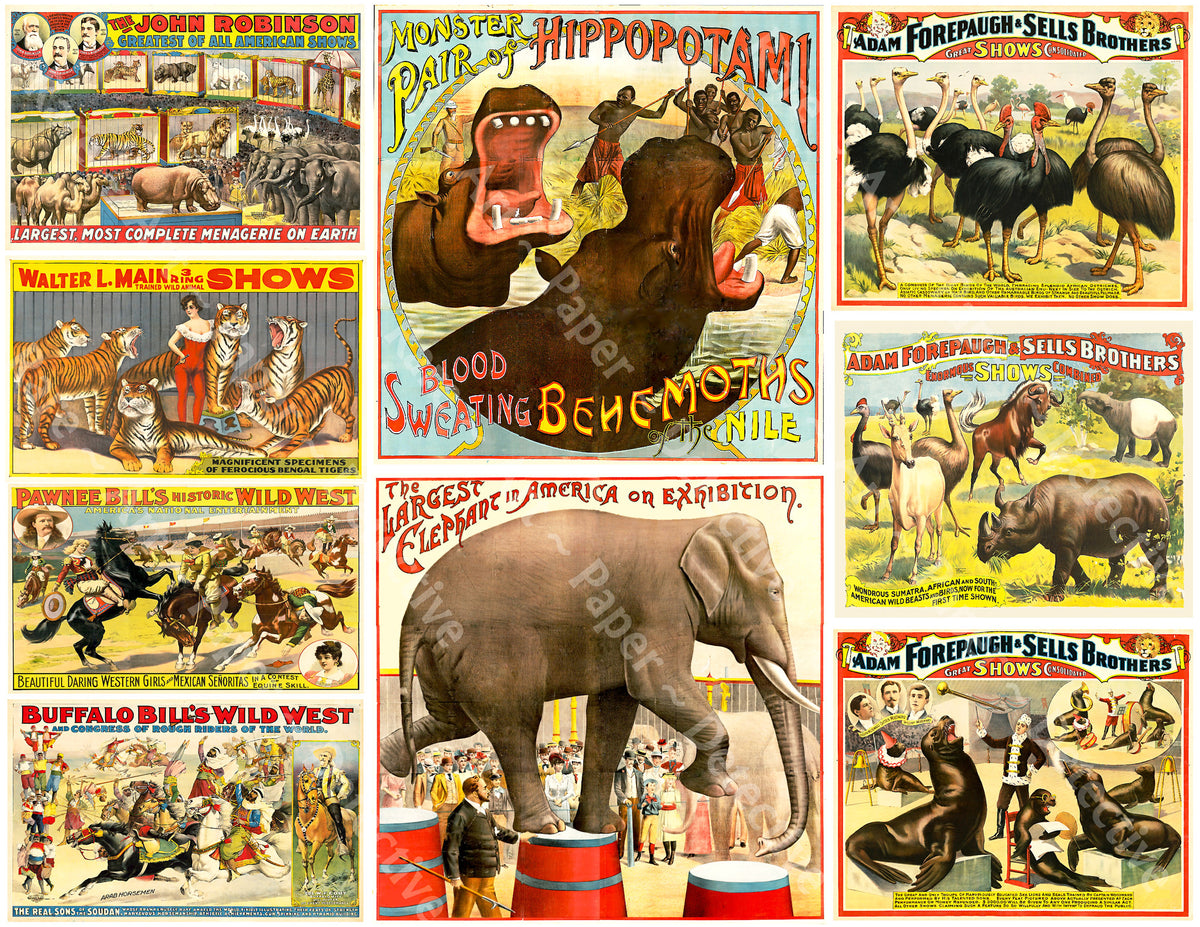 Wild Animal Show Posters & Circus Signs, Billboards, Sticker Sheet, 9 ...