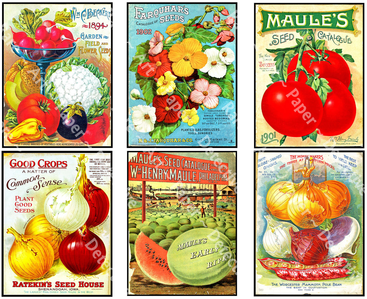 Garden Seed Packet Stickers for Making Gardener's Gifts, Greeting Card ...